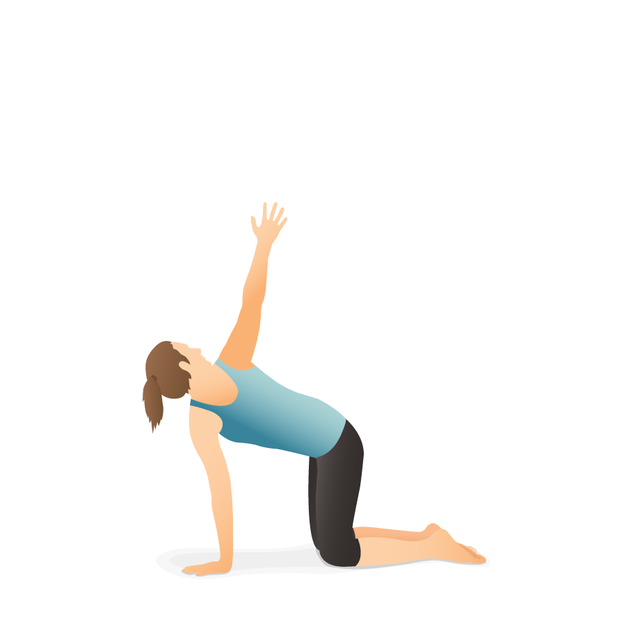 Yoga Poses Dictionary | Pocket Yoga