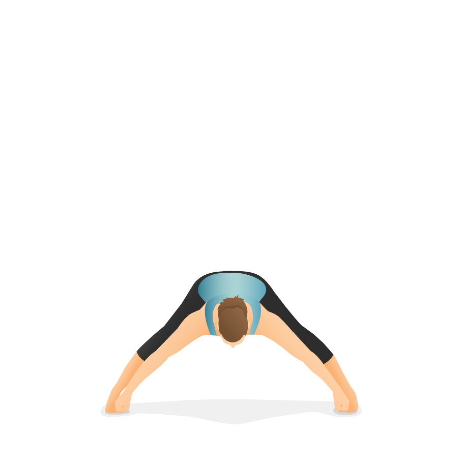Wide Legged Forward Bend Pose Wide Legged Forward Bend (Prasarita