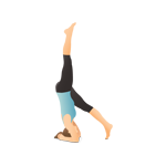 Yoga Poses Dictionary | Pocket Yoga