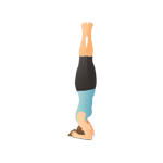 Yoga Poses Dictionary | Pocket Yoga