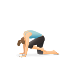 Yoga Poses Dictionary | Pocket Yoga