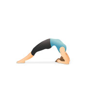 Yoga Poses Dictionary | Pocket Yoga